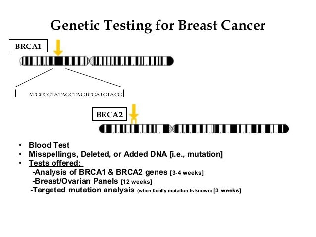 Web. hboc visual aids