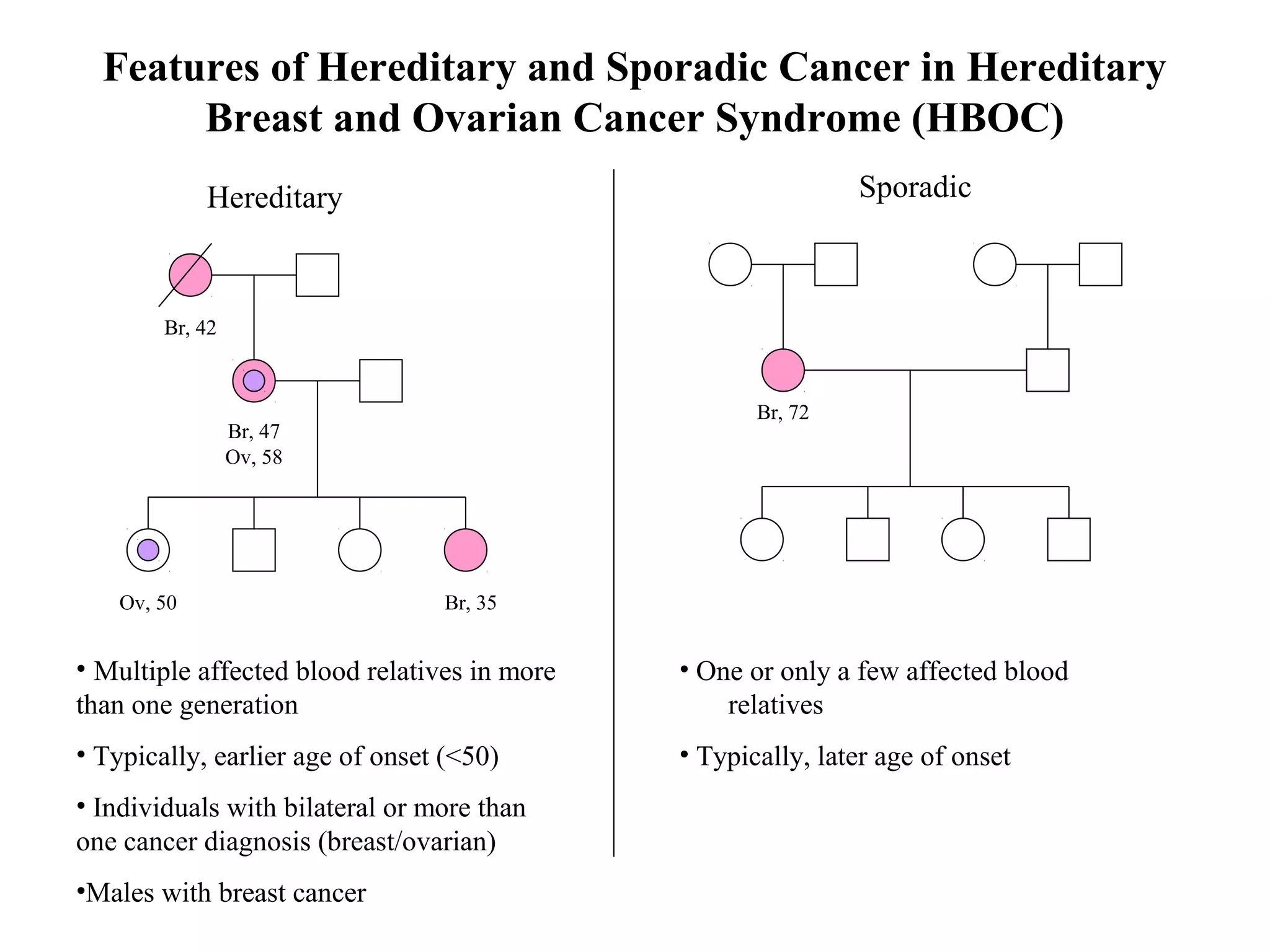 Hereditary breast and ovarian cancer clinic visit visual aids (Mayo ...