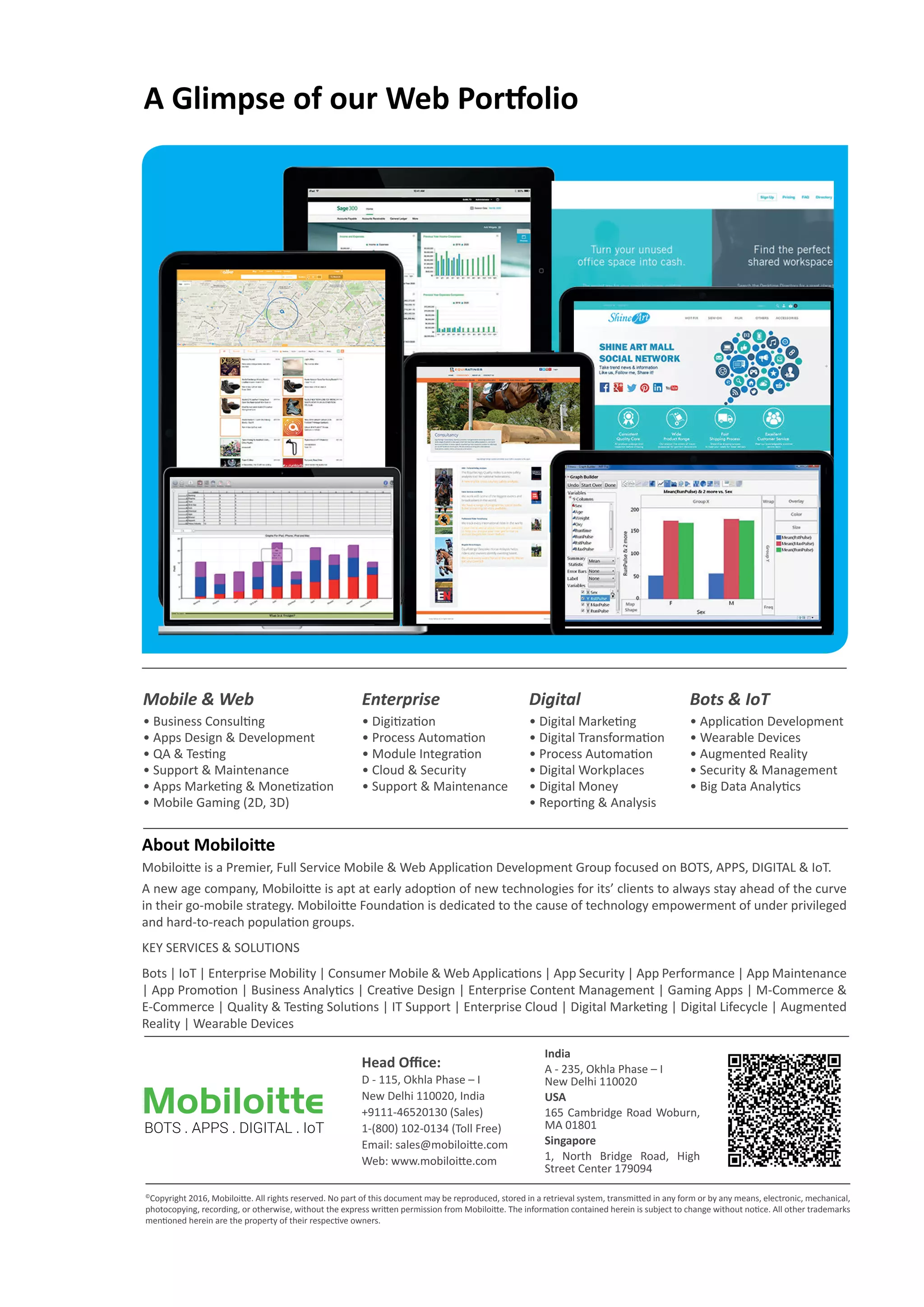 Web Application Development Brochure | PDF