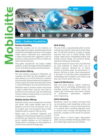 Web Application Development Brochure | PDF
