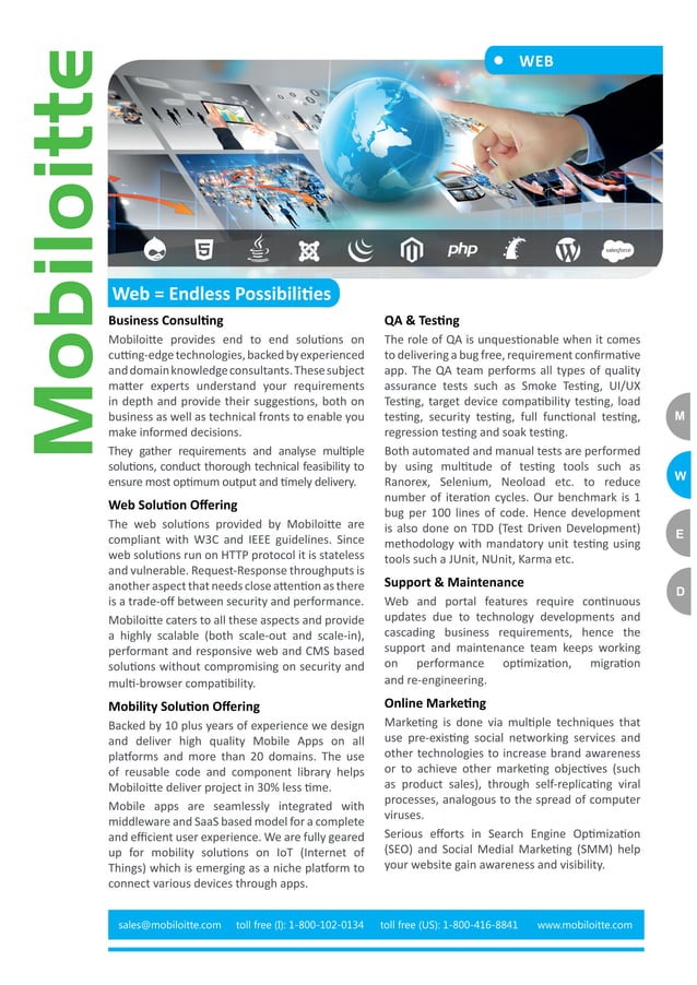 Web Application Development Brochure | PDF