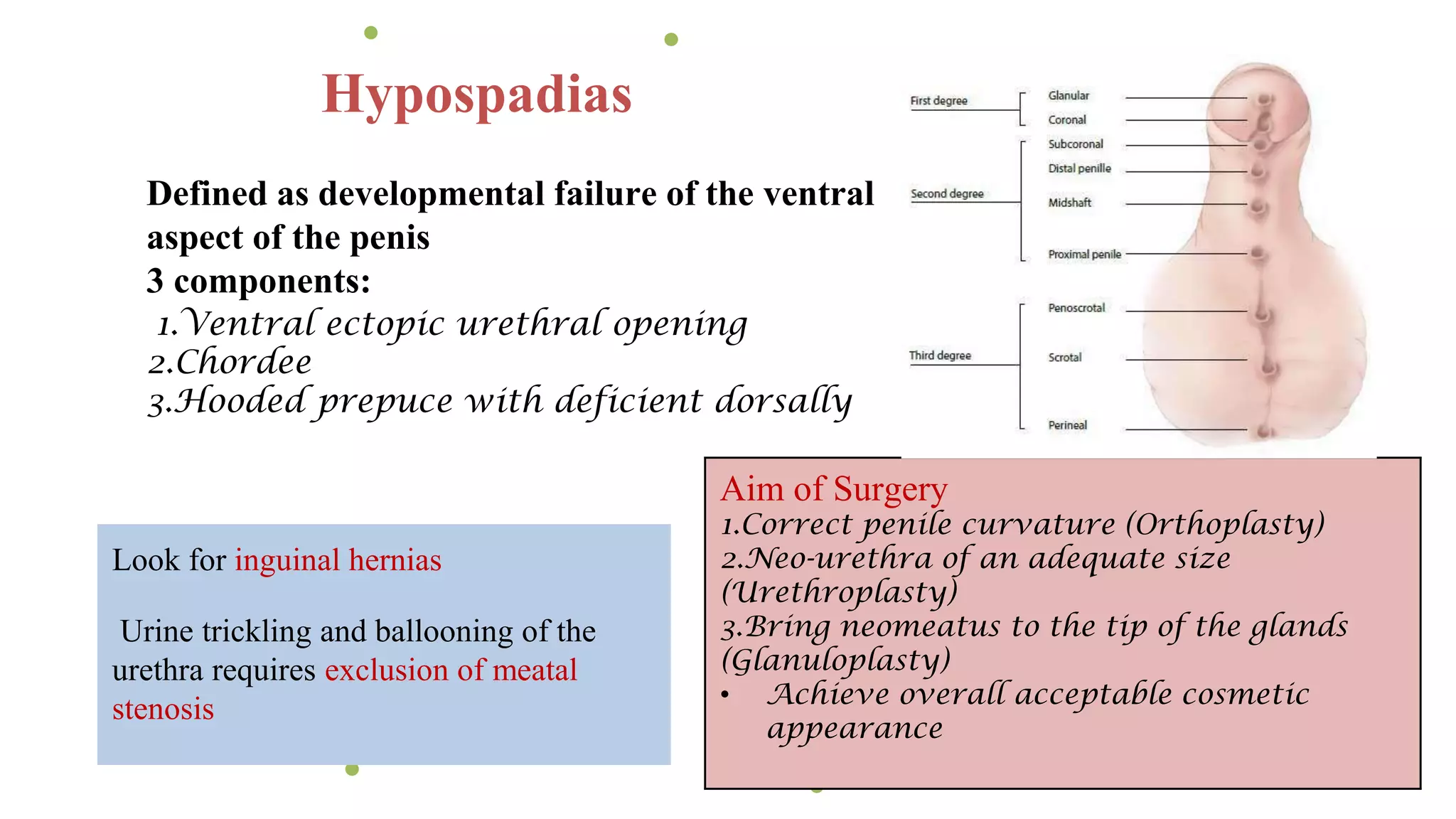 Nursing management of genito urinary disorders in children | PPTX