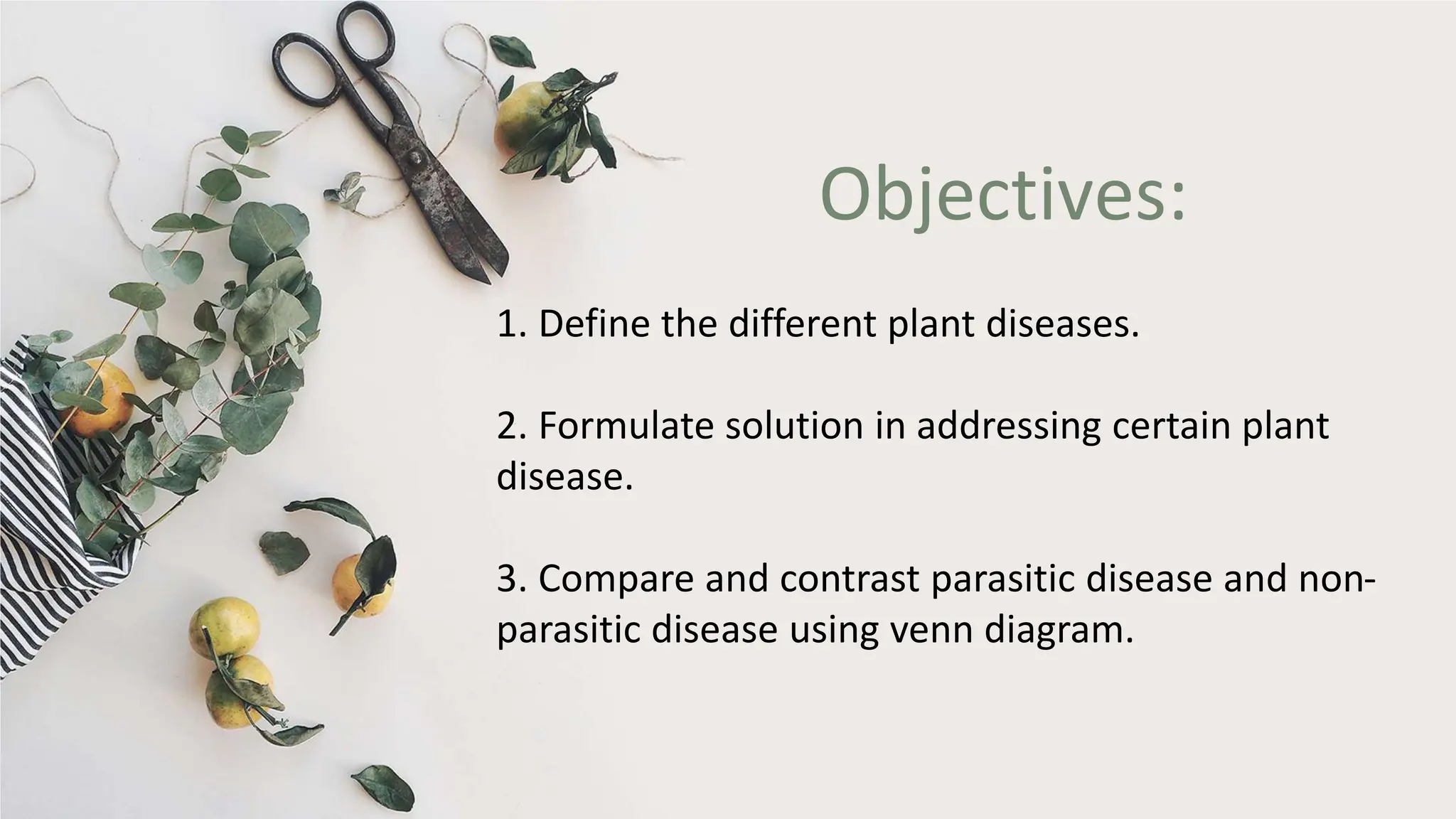 Web-Based Lesson Plan-Agents of Plant Diseases | PPTX