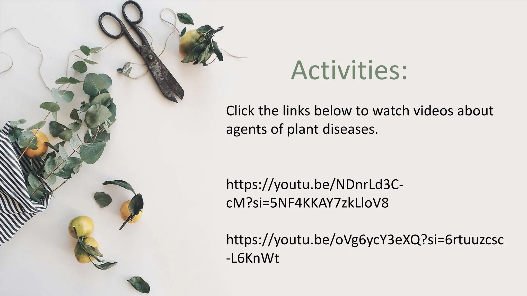 Web-Based Lesson Plan-Agents of Plant Diseases | PPTX
