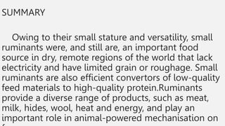 WEB-BASED LESSON PLAN IN SMALL RUMINANTS | PPT
