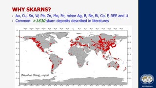 WEB005-Skarns-Zoning-Patterns-and-Controlling-Factors.pdf