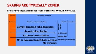 WEB005-Skarns-Zoning-Patterns-and-Controlling-Factors.pdf