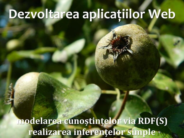 Dezvoltarea aplicațiilor Web (8/12): Modelarea taxonomiilor şi ...