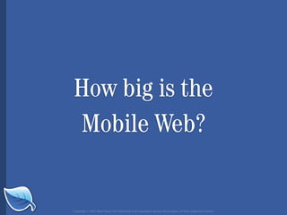 Web20 Expo 2007 Mobile Experience | PDF