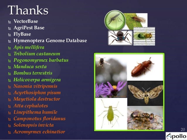 Web Apollo: A Web-based Genomics Annotation Editing Platform. 13ArthG…