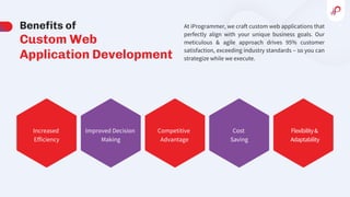 iProgrammer's Web Application Development Services | PDF