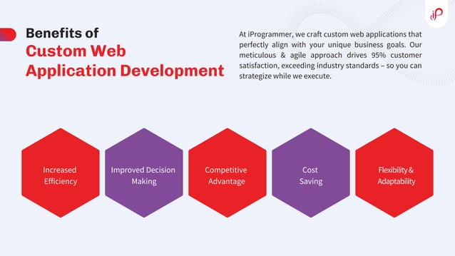 iProgrammer's Web Application Development Services | PDF