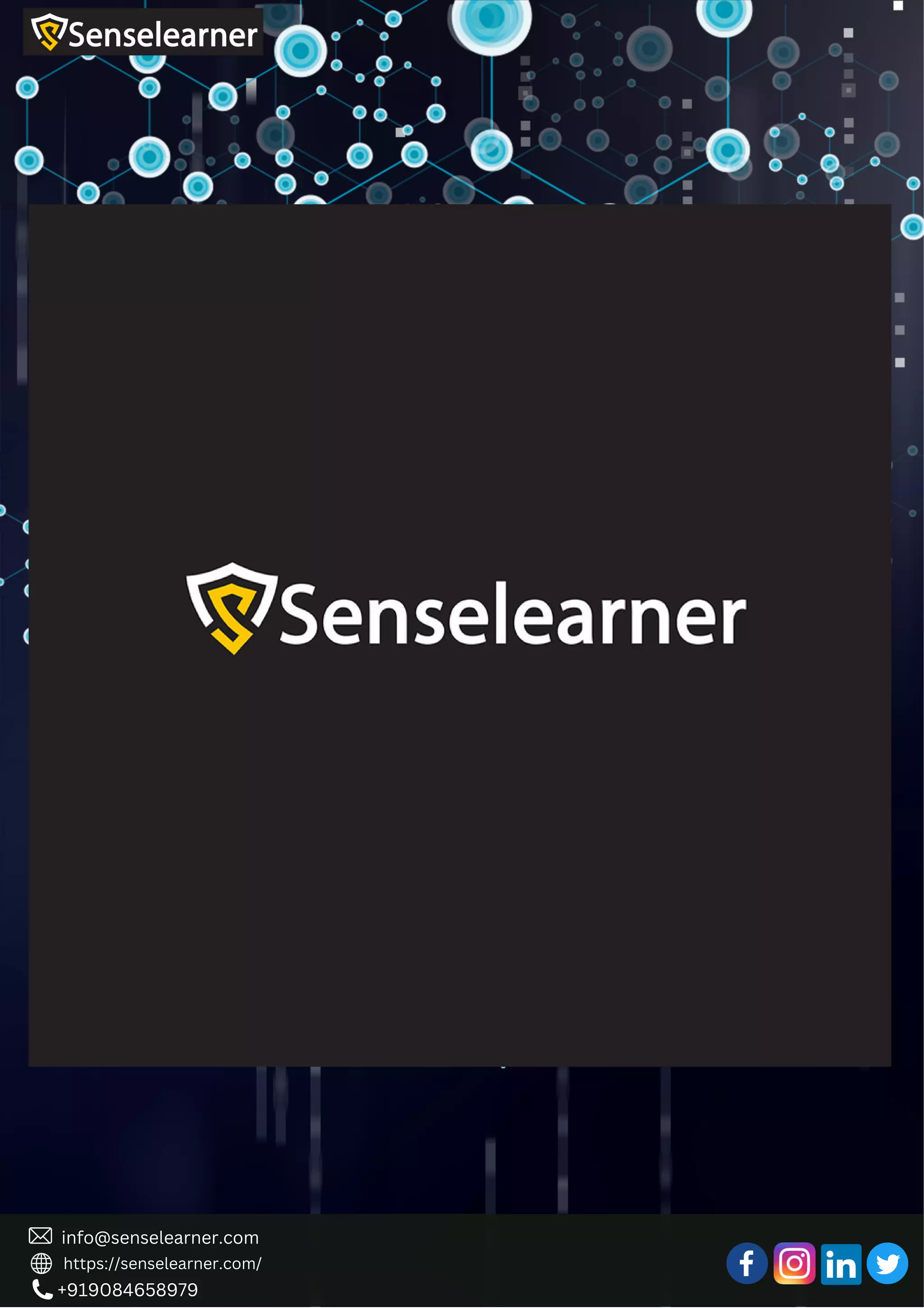 Web Application Security Services in India | Senselearner | PDF