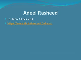 Web Application/Site Design & Development | PPT