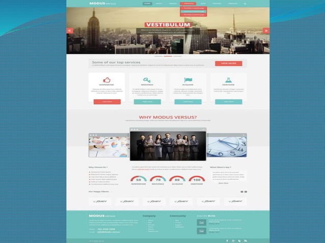 Web Application/Site Design & Development | PPT