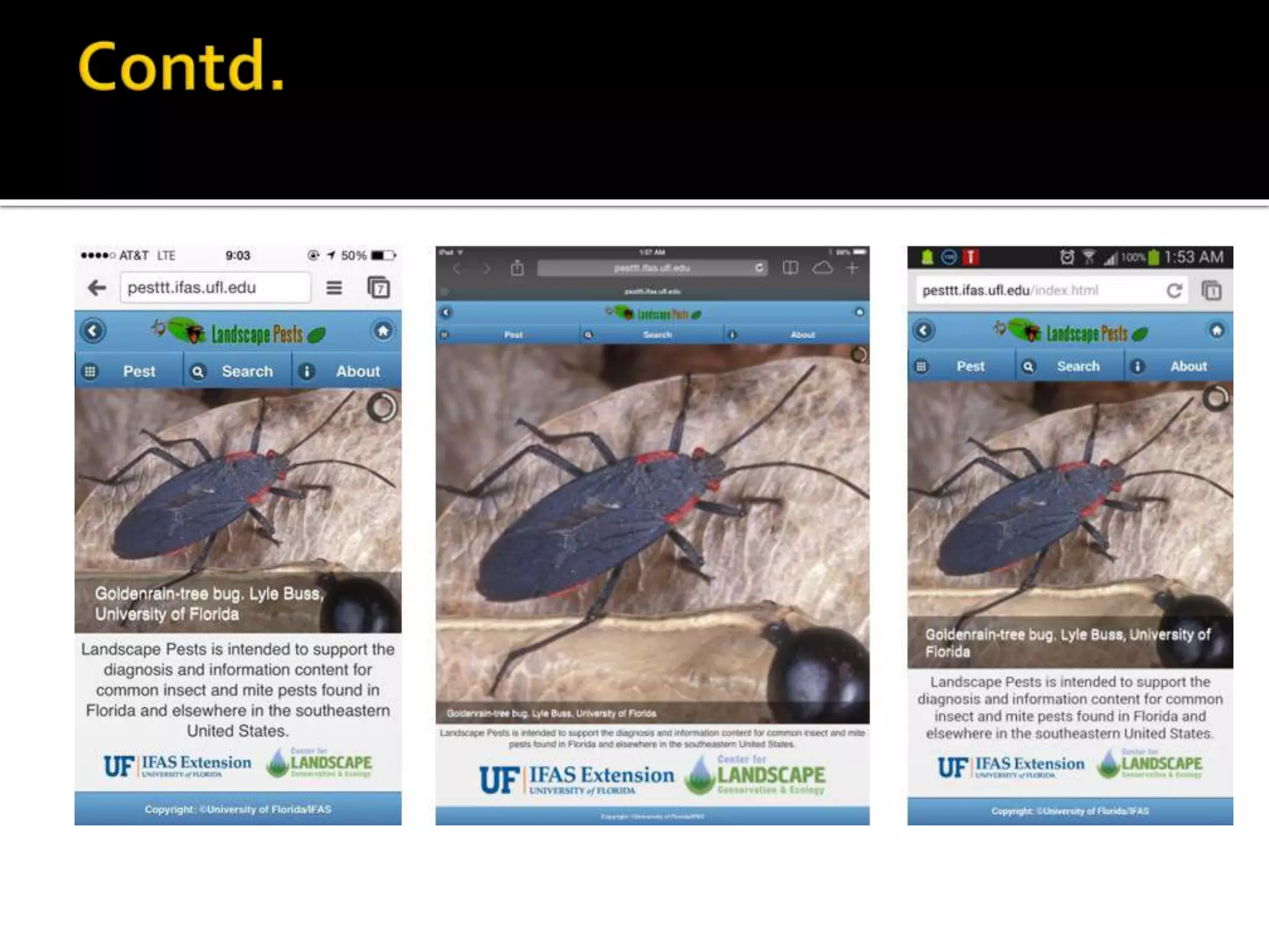 Cross platform Web apps | PPT Cross platform Web apps | PPT