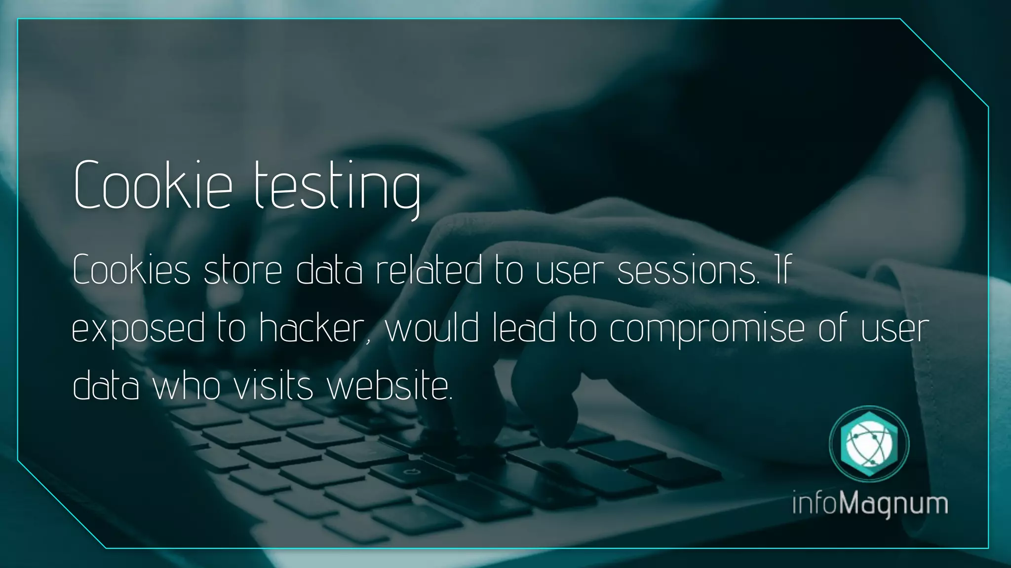 Website Web App Security Testing Checklist Ppt Free Download 5608
