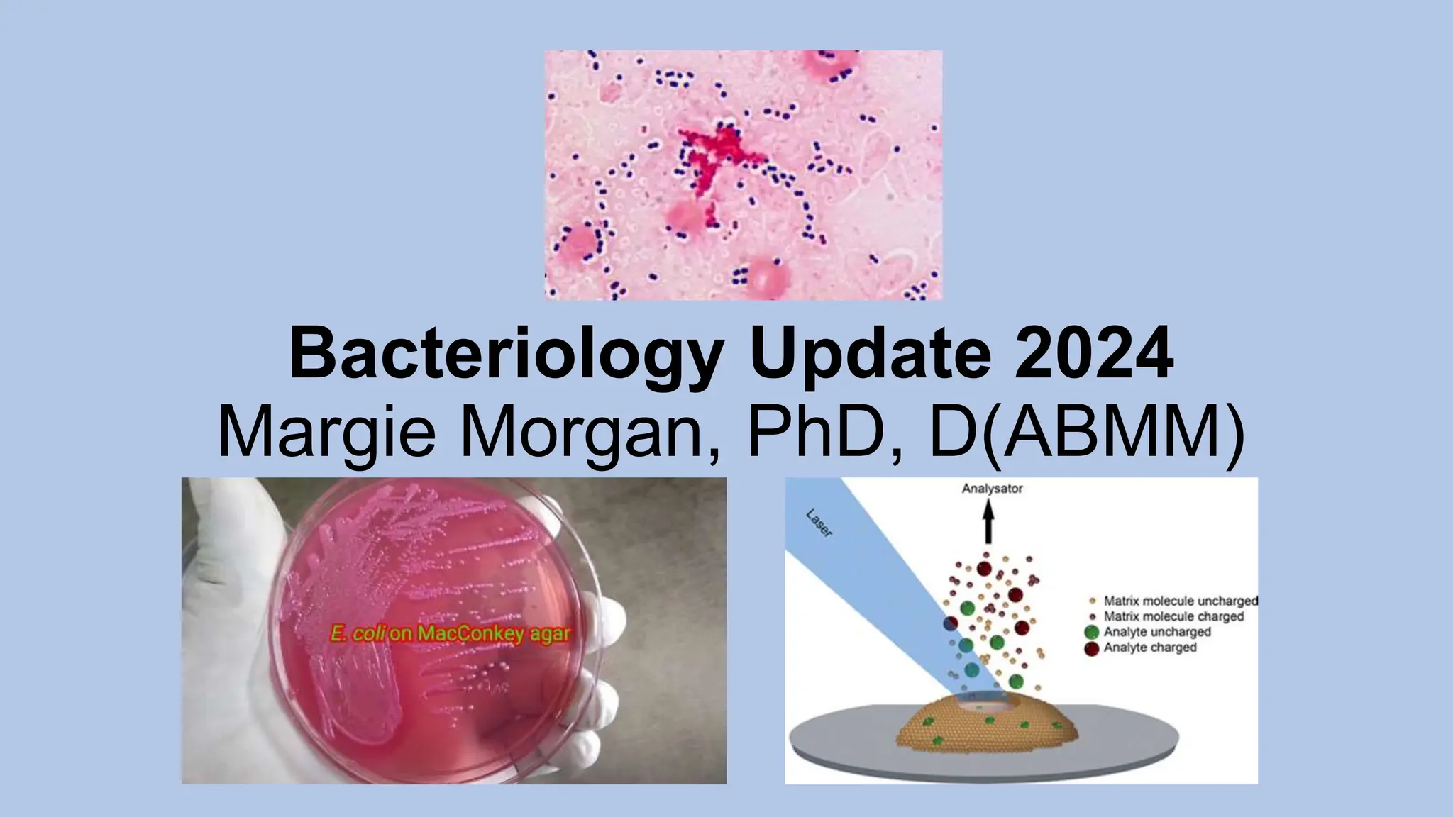 WEB BACTERIOLOGY 2024 | Microbes With Morgan | PPT