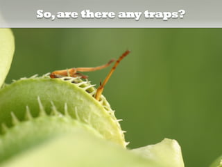 Starting up? Be aware of the traps. | PDF | Startups | Business