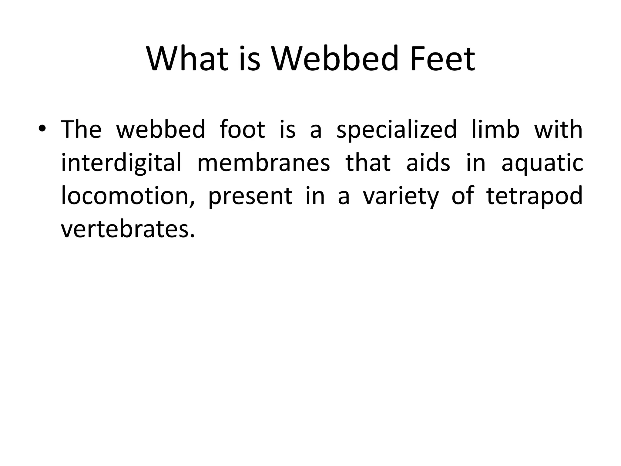 Webbed feet.pptx