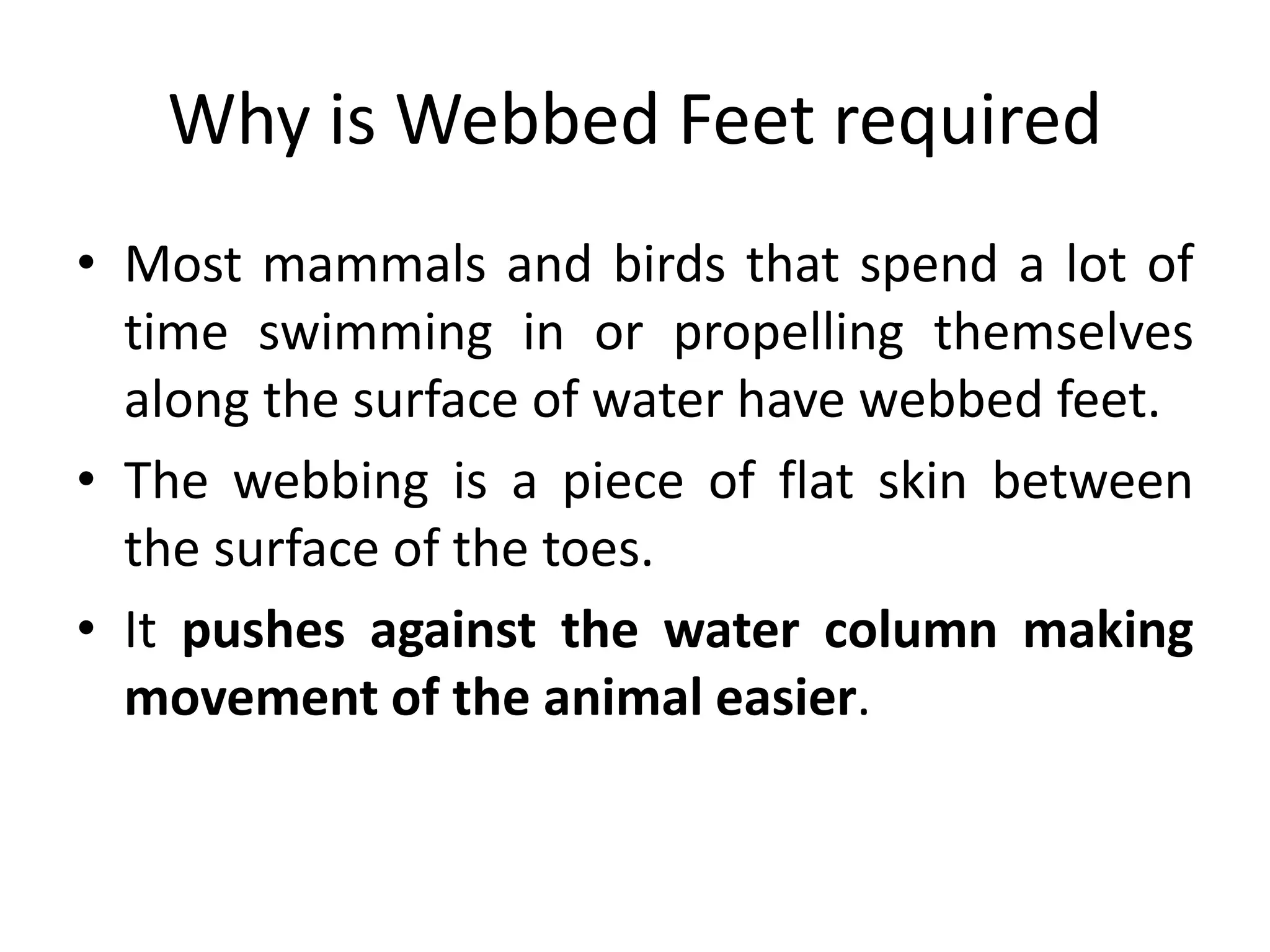 Webbed feet.pptx