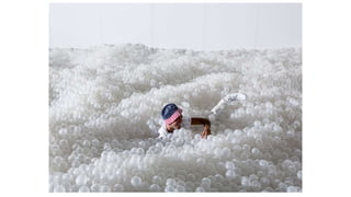 Webb, Ivy_Daniel Arsham and Tiffany Holmes | PPT