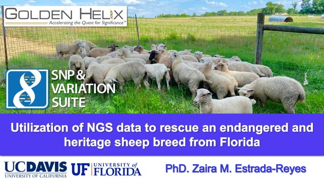Utilization of NGS data and genomic selection to rescue an endangered ...