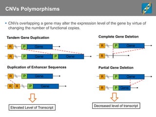 NGS-Based Clinical Analysis | PPT