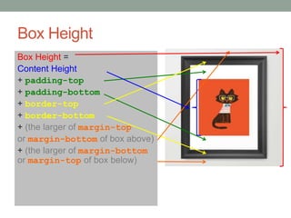 WEBD 162: Box Model, Pseudo-Classes and Pseudo-Elements | PPTX