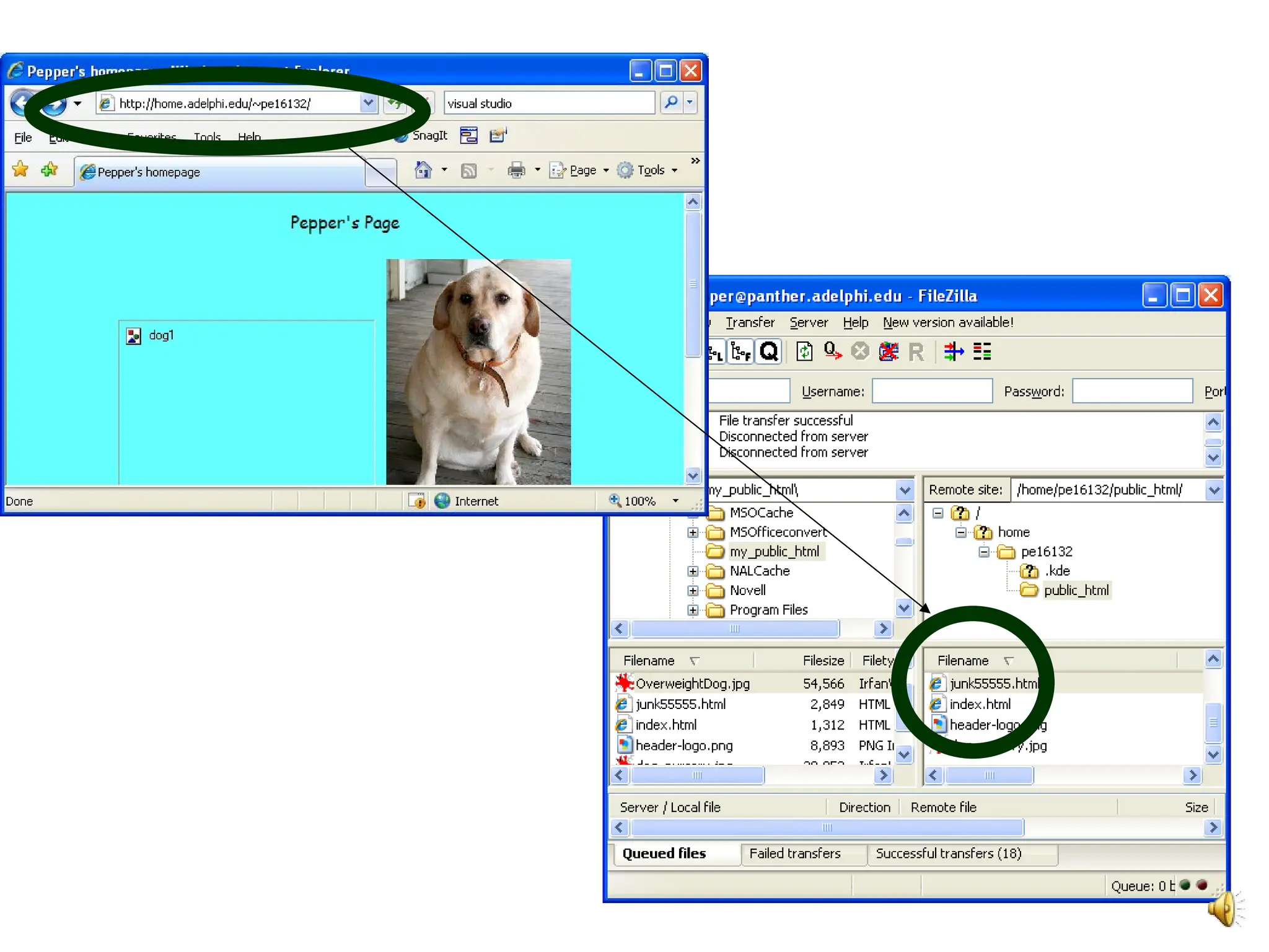 web design professor pepper explained in detail.ppt