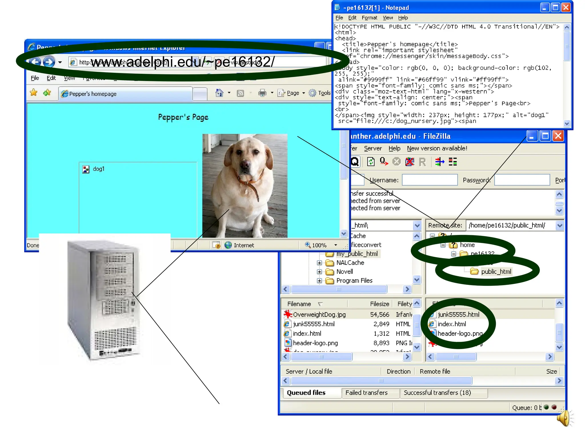 web design professor pepper explained in detail.ppt