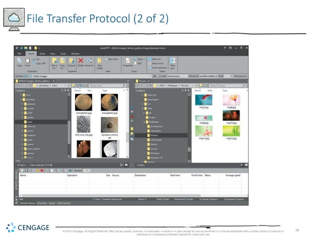 Intro to Web Design 6e Chapter 7 | PPT