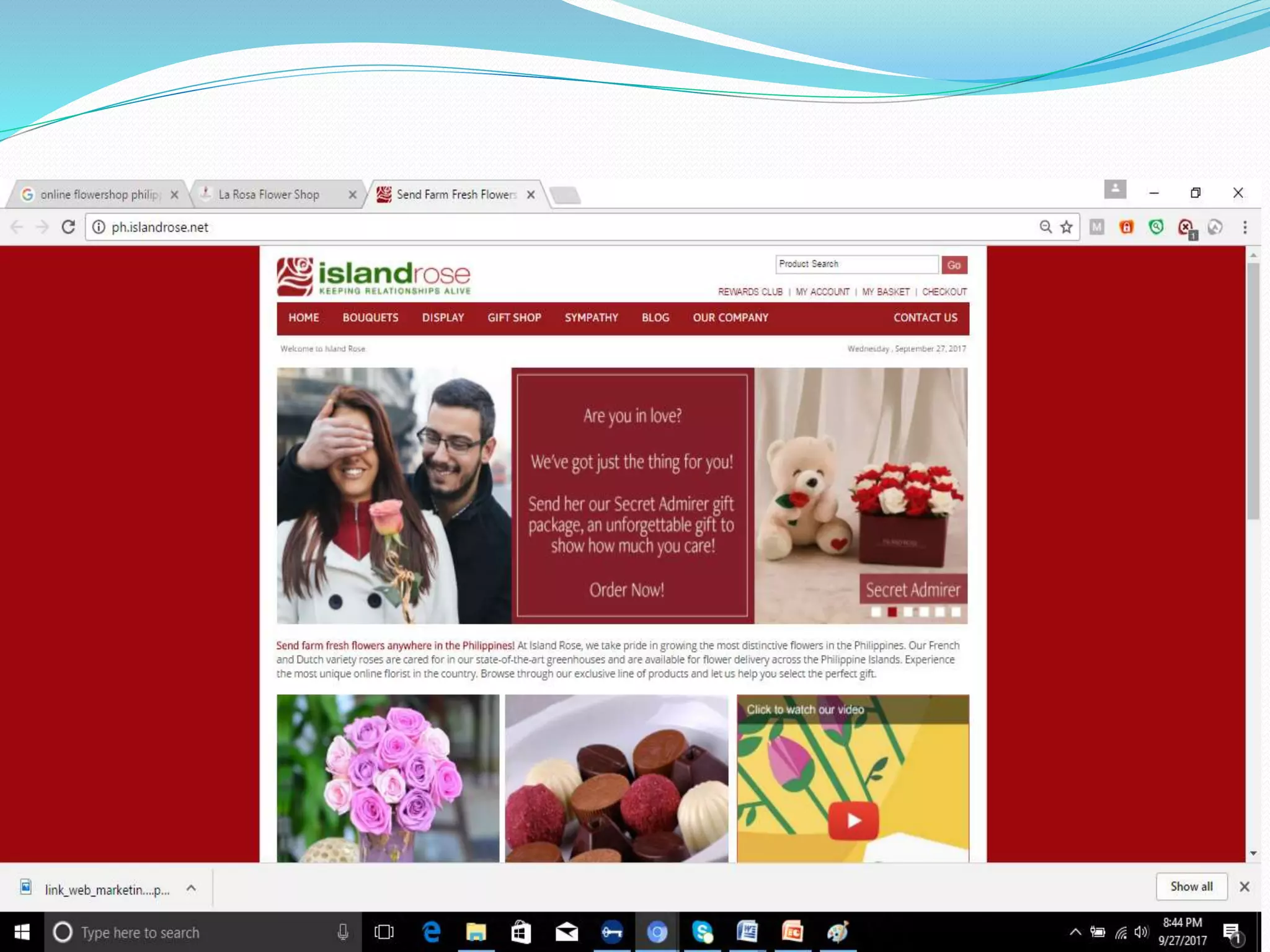 Web design principles | PPTX