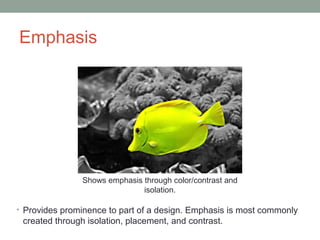 Web Design Principles | PPT