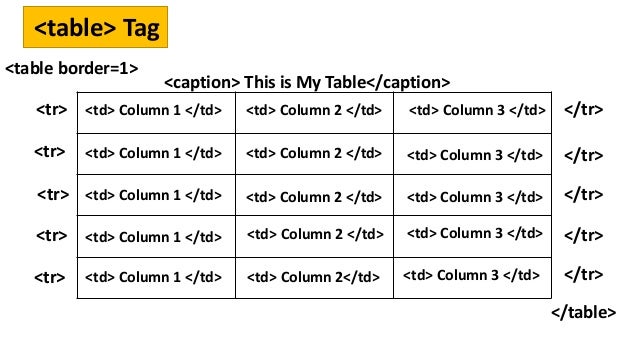 HTML CSS and Web Development