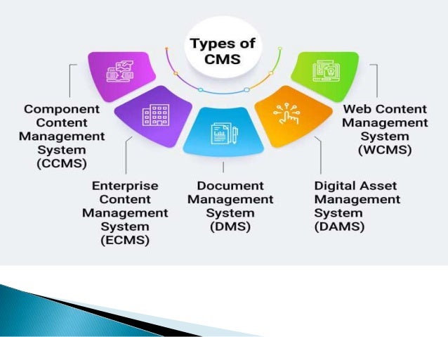 Web Development & mob. development technologies.pptx