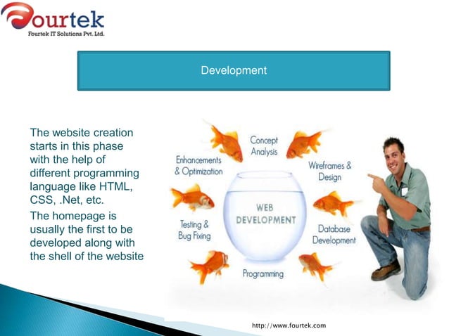 Web development phases | PPT