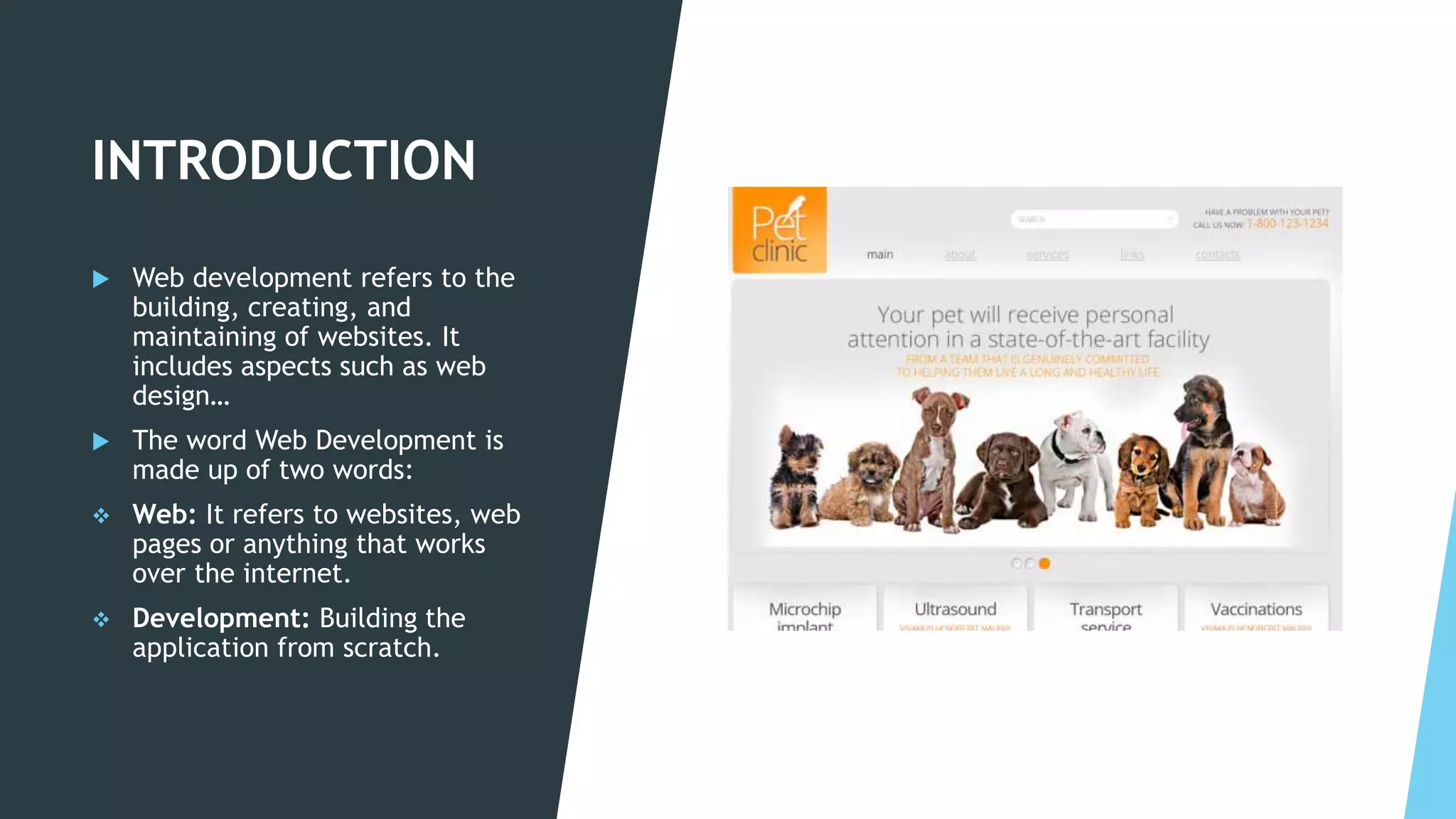 WEB Development PPT Pet Clinic.pptx