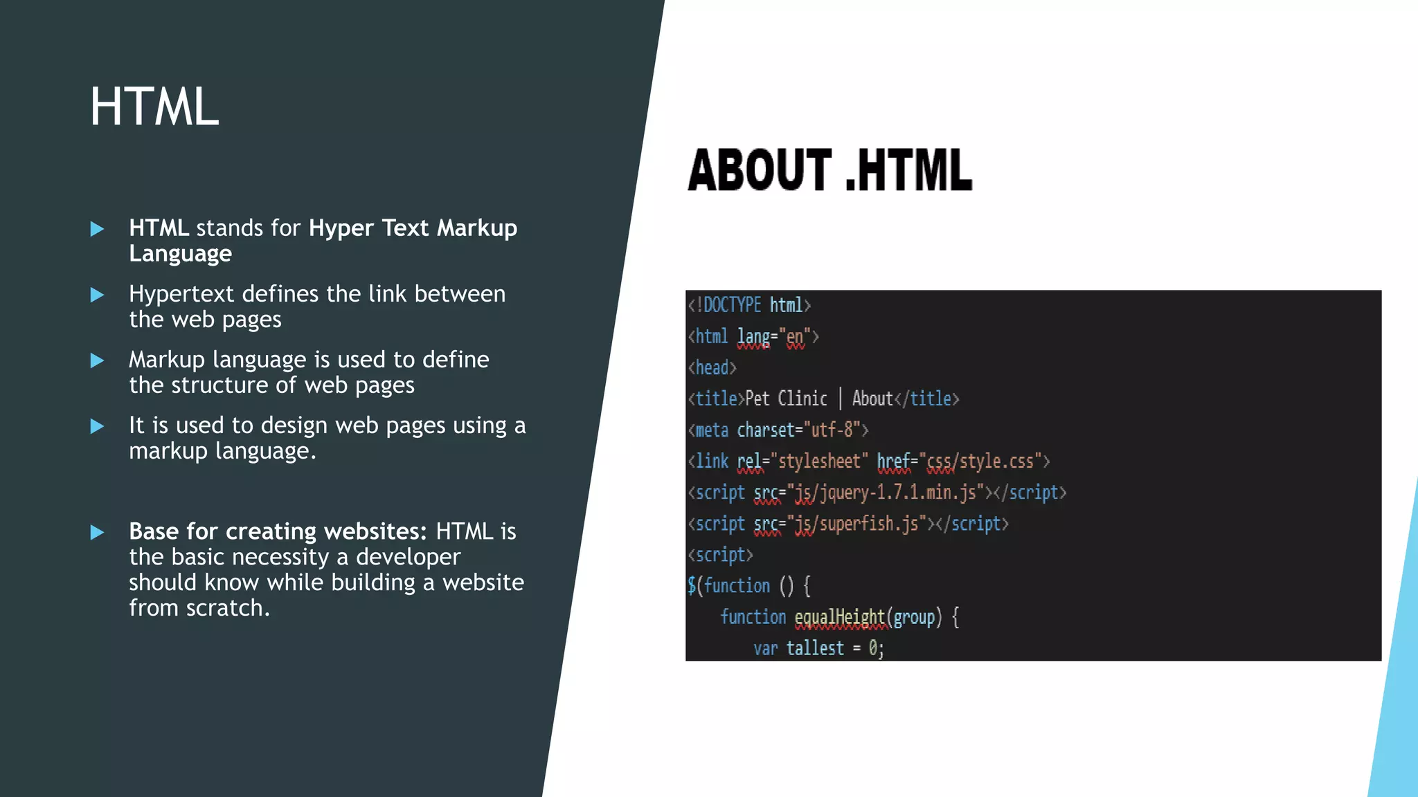 WEB Development PPT Pet Clinic.pptx