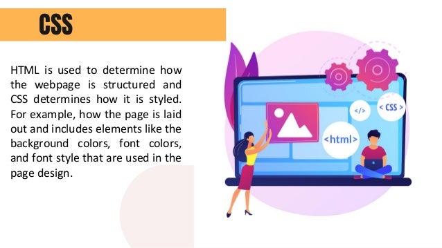 What is web development and its types? | PPT