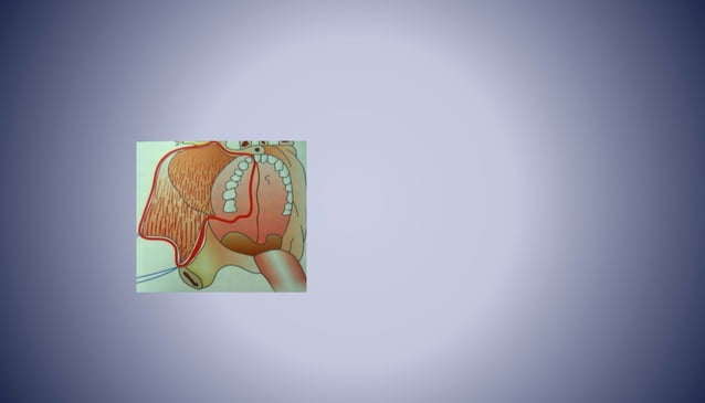 Weber ferguson incison (poster) | PPTX | Cosmetic Medical Services ...