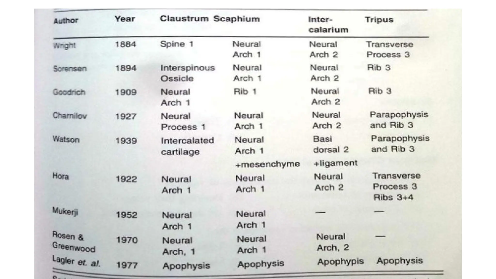 weberian ossicles (Fish and fisheries) General fish and biology | PPTX
