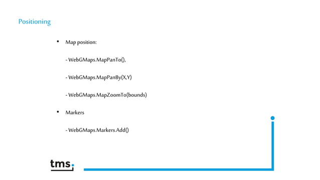 TMS Google Mapping Components | PPTX | Web Development | Internet