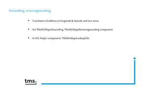 TMS Google Mapping Components | PPTX