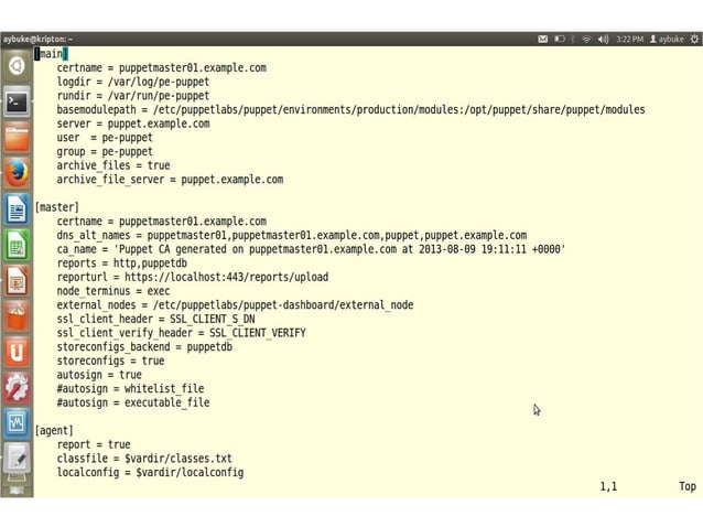 Puppet Sertifika Yönetimi | ODP