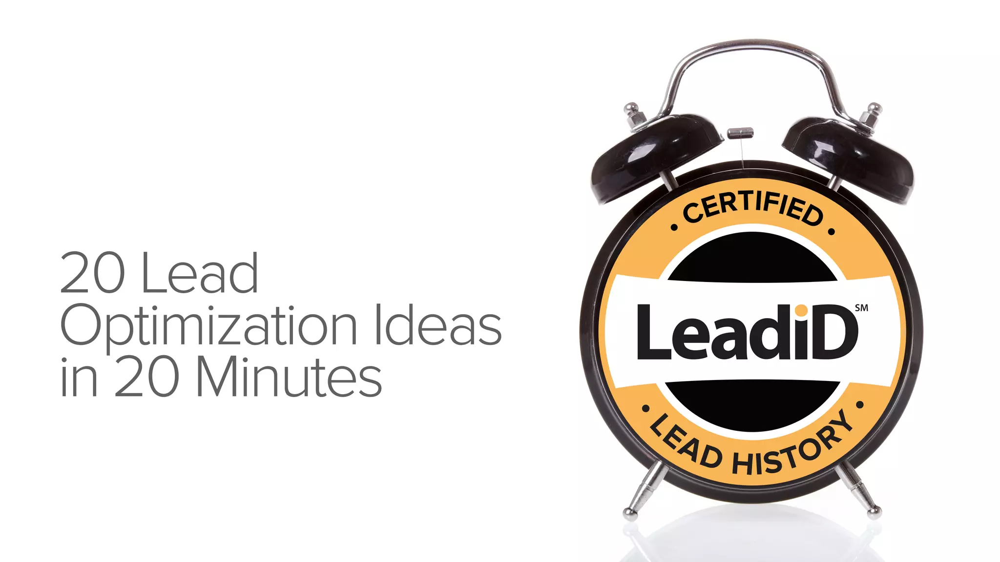 20 Lead Optimization Ideas in 20 Minutes | PDF