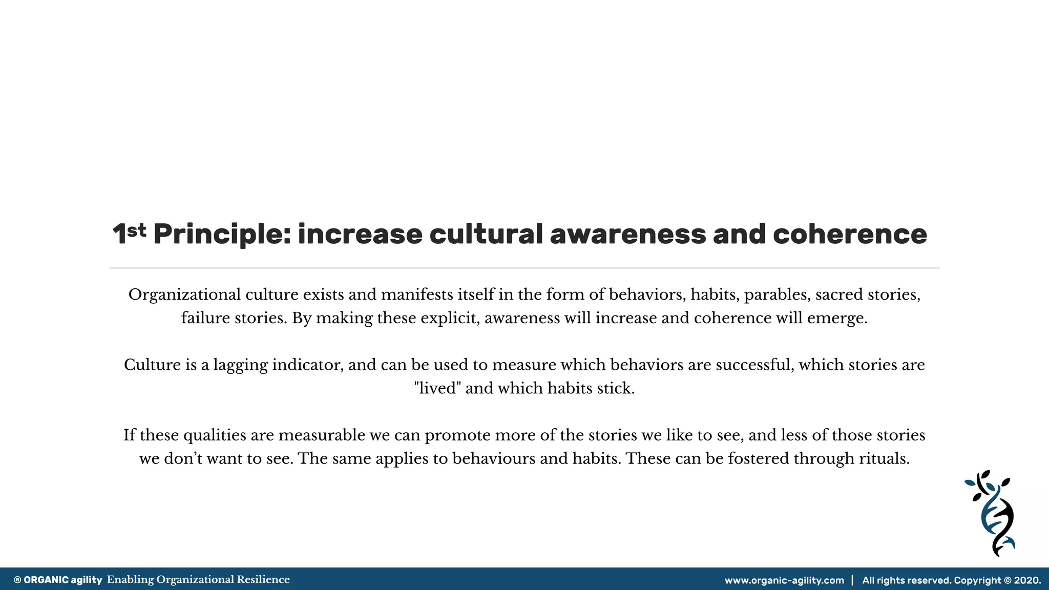 Cultural Awareness and Coherence (Principle #1) | PDF