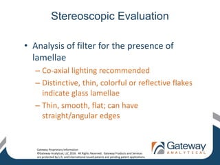 Proactive vs Reactive Glass Delamination Testing in Pharmaceuticals | PPTX