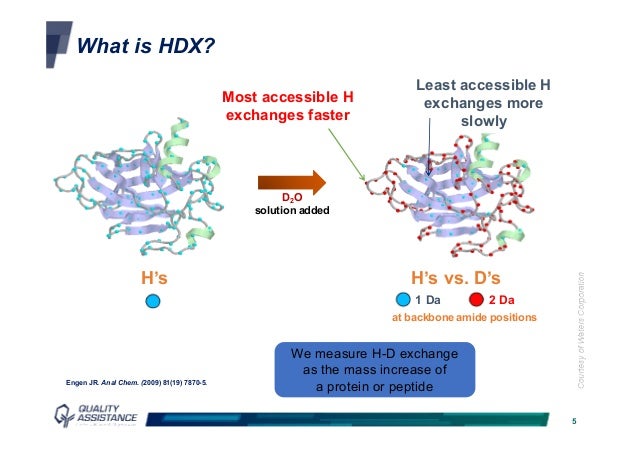 WEBINAR HDX-MS a powerful tool for biopharmaceutical characterisation