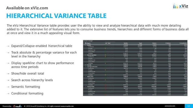 Introduction to xViz Custom Visuals Suite for Microsoft Power BI | PPT